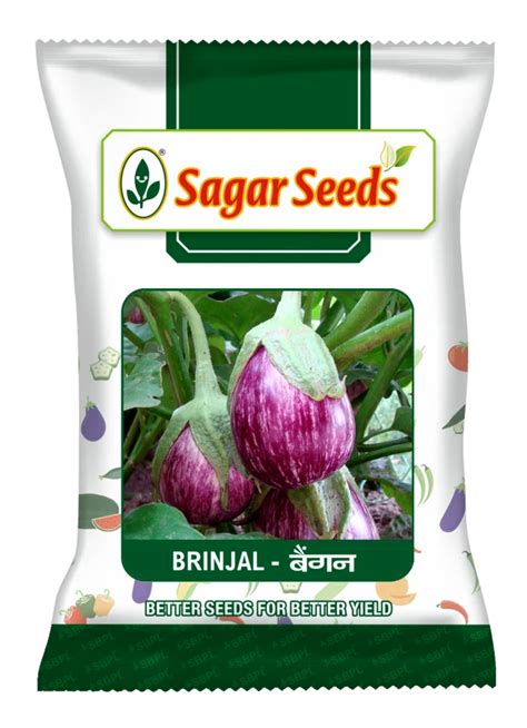 Brinjal Br1 Packaging Type Packet At ₹ 50pack In Surat Id