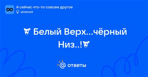 ¿ Белый Верх чёрный Низ 😁 User 304796237 Ответы Mail