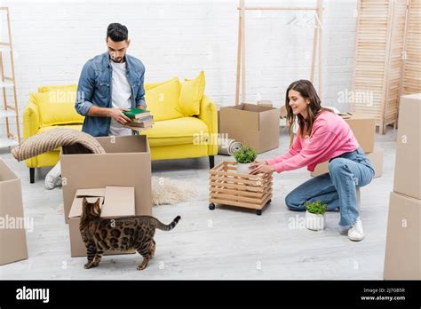 positive interracial couple unpacking packages near bengal cat at home