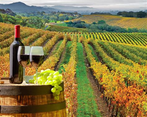 Glass Wine Bottles For Sale Wine Bottle Supplier G3