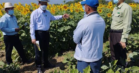 ဧရာဝတီတိုင်းဒေသကြီးအစိုးရအဖွဲ့ ဝန်ကြီးချုပ