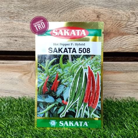 Paket 5g 700 Biji Sakata 508 Biji Benih Cili Lada Burung Thailand Original Hot Pepper F1