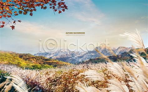 이미지포털 아이클릭아트