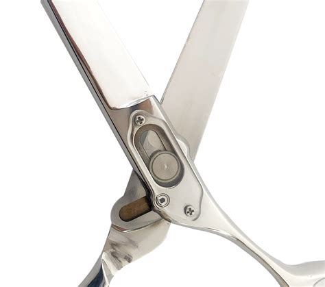 Tara Model Xdream Tara Scissors