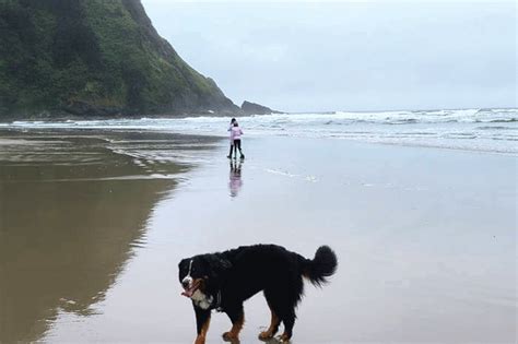 Source Material The Source Weekly Bend Oregon