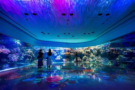 Xpark門票折150！「北北基桃暢遊卡」升級成30景點 4日遊省990元 Ettoday旅遊雲 Ettoday新聞雲