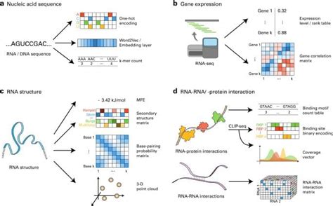 Big Data And Deep Learning For RNA Biology Lifeboat News The Blog