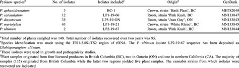 Pythium Species Recovered From Root And Crown Tissues Of Symptomatic Download Scientific