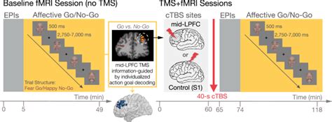 Information Based Tms To Mid Lateral Prefrontal Cortex Disrupts Action Goals During Emotional