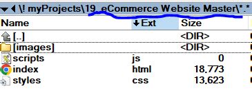 Embedding Your Own Images From Google Drive Html Css The Freecodecamp Forum