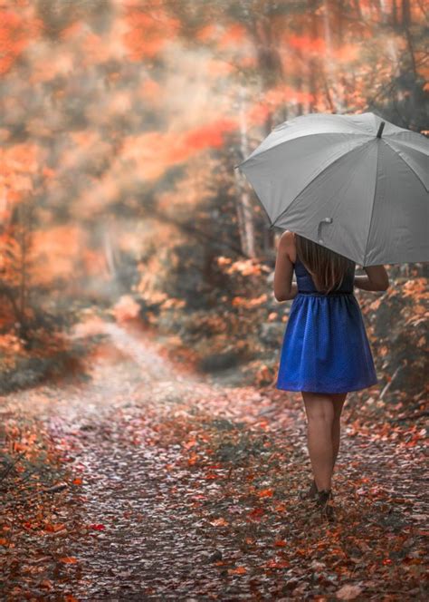 Drxgonfly Umbrella Photography Rain Photography Cool Umbrellas