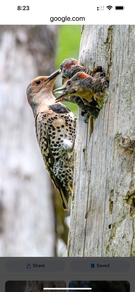 Wayne Gill On Linkedin Wednesdaywisdom