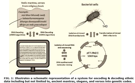 Idf No 1718 System And Method For Encoding And Decoding Ethnic Data