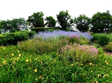 The Garden Markell Smith Gallery Photography Landscapes And Nature