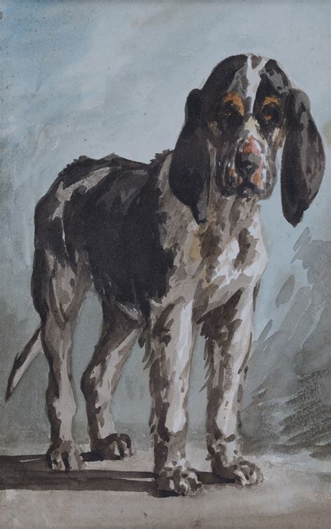 British School Portrait Of A Basset Hound 19th Century Watercolour