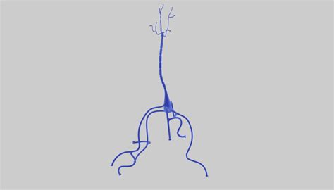 뉴런 3d 모델 26 Max 3ds Fbx Obj Free3d