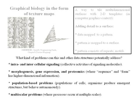 Synthetic Daisies Scenes From A Graphical Parallel Biology Presentation