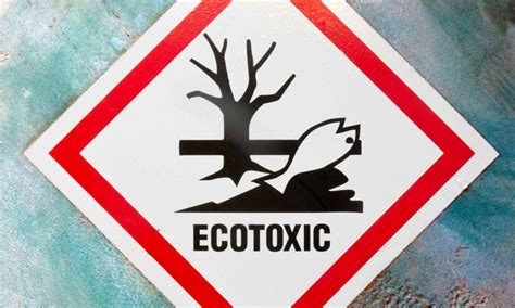 Catalisti Zoekt Partners Voor Onderzoek Ecotoxiciteit Agroandchemie