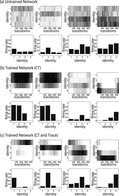 Cell Activations From Experiment 3 Plots Show Cell Selectivity Based Download Scientific