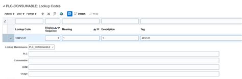 Create Local Dff In Manage Common Lookup — Cloud Customer Connect