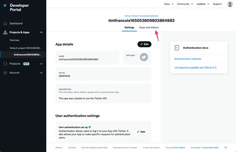 How To Setup The X API Key TINT