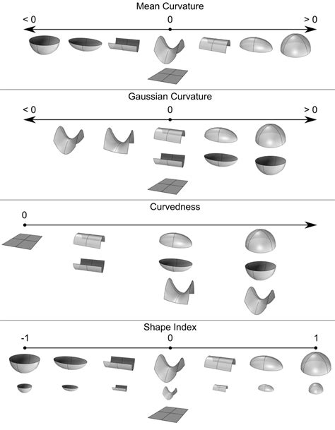 Topological Characteristics Of Curvature Indices Each Descriptor Download Scientific Diagram