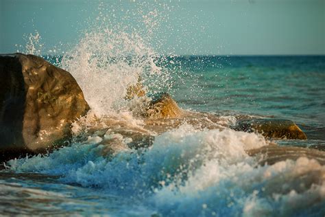 Мило Море Фото – Telegraph