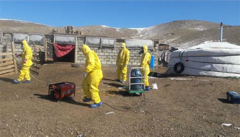 Ариутгал халдваргүйжүүлэлт хийж байна