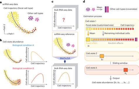 Schematics Of The Concept Of Cell State Trajectory Deconvolution And Download Scientific