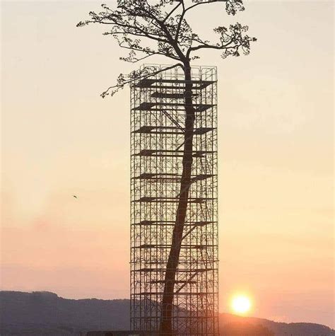 Япон угсардаг шат худалдаа түрээс угсралтын үйлчилгээ Ulaanbaatar