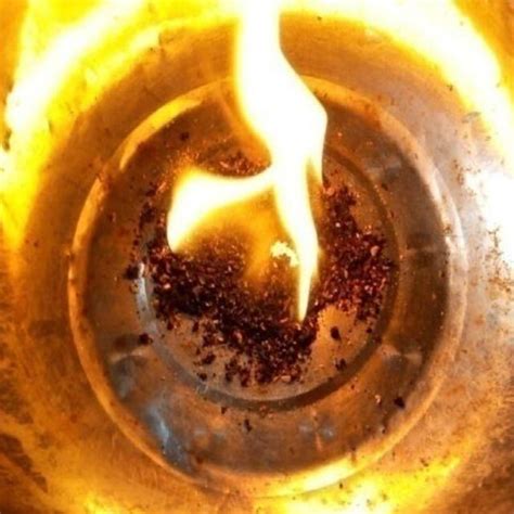 Flow Chart For Production Of Raw And Dry Ash Samples From The Bones Download Scientific Diagram