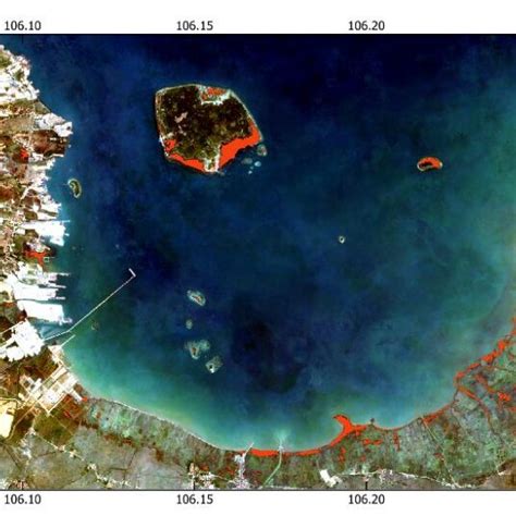 Mangrove Classification Results Based On Machine Learning Cart Red Is