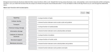 Solved Biological Macromolecule Structures Determine Their