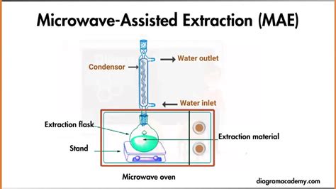 Microwave Assisted Extraction Mae Diagram With Explanation