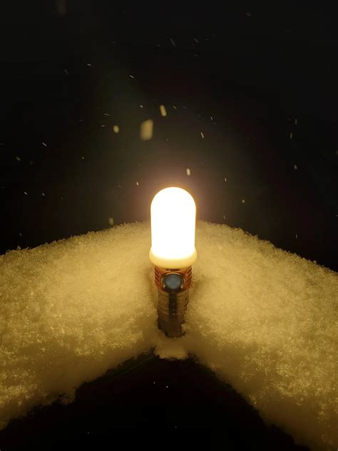 Stl File D4v2 Flashlight Diffuser 🔦・template To Download And 3d Print・cults