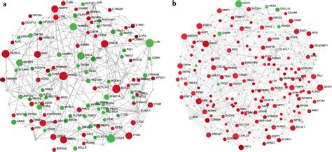 Function Based Minimally Connected First Order Proteinprotein
