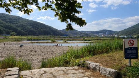 밀양 기회송림공원야영장 당일치기하기 좋은 밀양캠핑장 네이버 블로그