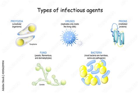 Pathogen Infection From Prions And Viruses To Bacteria Fungi And Unicellular Organism Stock