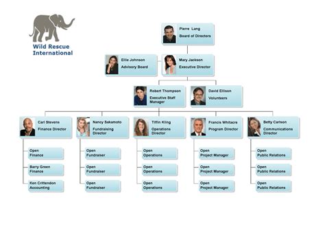 Nonprofit Organizational Chart 17 Examples Of Organizational Charts A