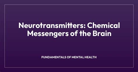 Neurotransmitters Chemical Messengers Of The Brain • Psychology Town