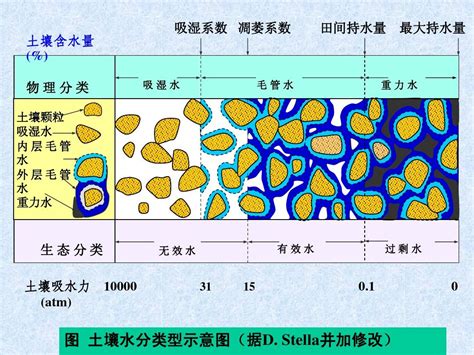 2 3土壤水分 Word文档在线阅读与下载 无忧文档