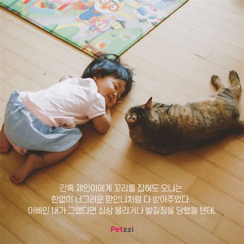 아기와 고양이의 교감 인스티즈 Instiz 이슈 카테고리