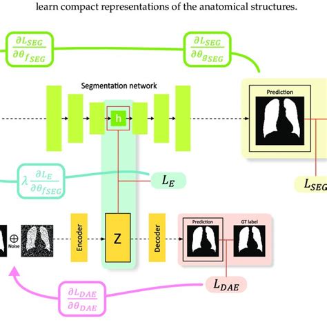 Architecture Of The Denoising Convolutional Autoencoder Dae