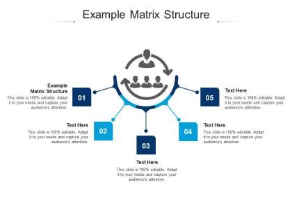 Example Matrix Structure PowerPoint Presentation And Slides PPT Template SlideTeam