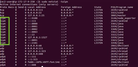 Netstat Shows Tcp6 On Ipv4 Only Host