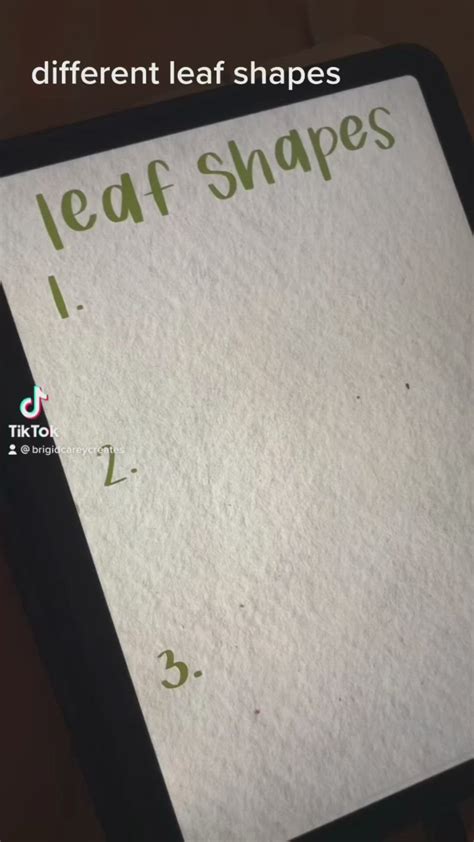 How To Draw Leaves Leaf Shapes Digital Art