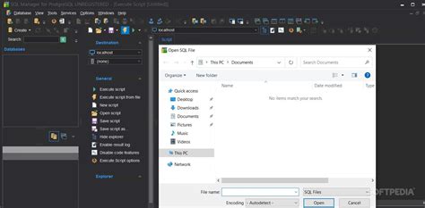 Ems Sql Manager For Postgresql Download Softpedia