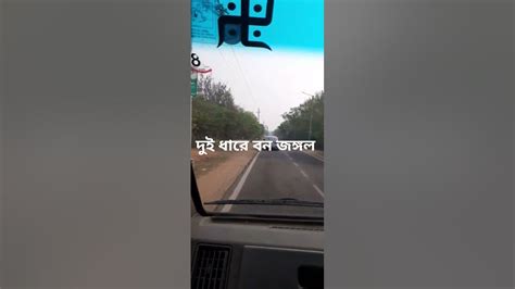 দুই ধারে বন জঙ্গল Youtube