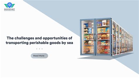 The Challenges And Opportunities Of Transporting Perishable Goods By Sea Visiwise Tracking