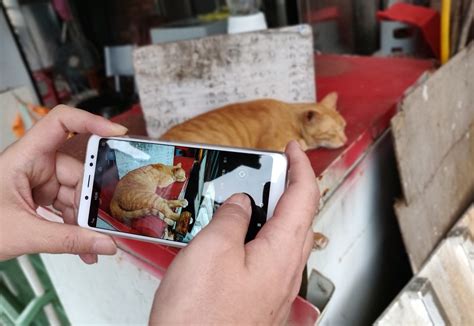 全面進化！系列拍照最強的紅米 Note 5 開箱 猴硐貓咪實拍分享 3c 達人廖阿輝
